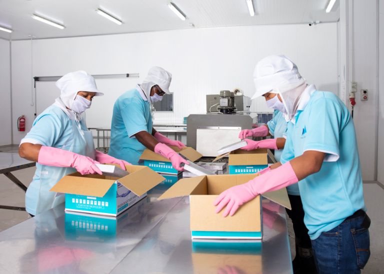 PCF Group - PCF Services